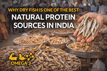 Why Dry Fish Is One of the Best Natural Protein Sources in India – Octorika